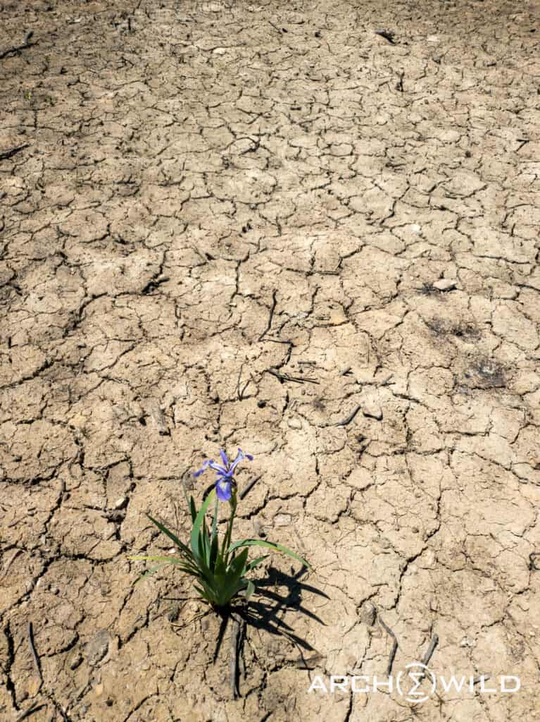 Thursday Night Nature: Soils and Natives 101 What is the nature of ...