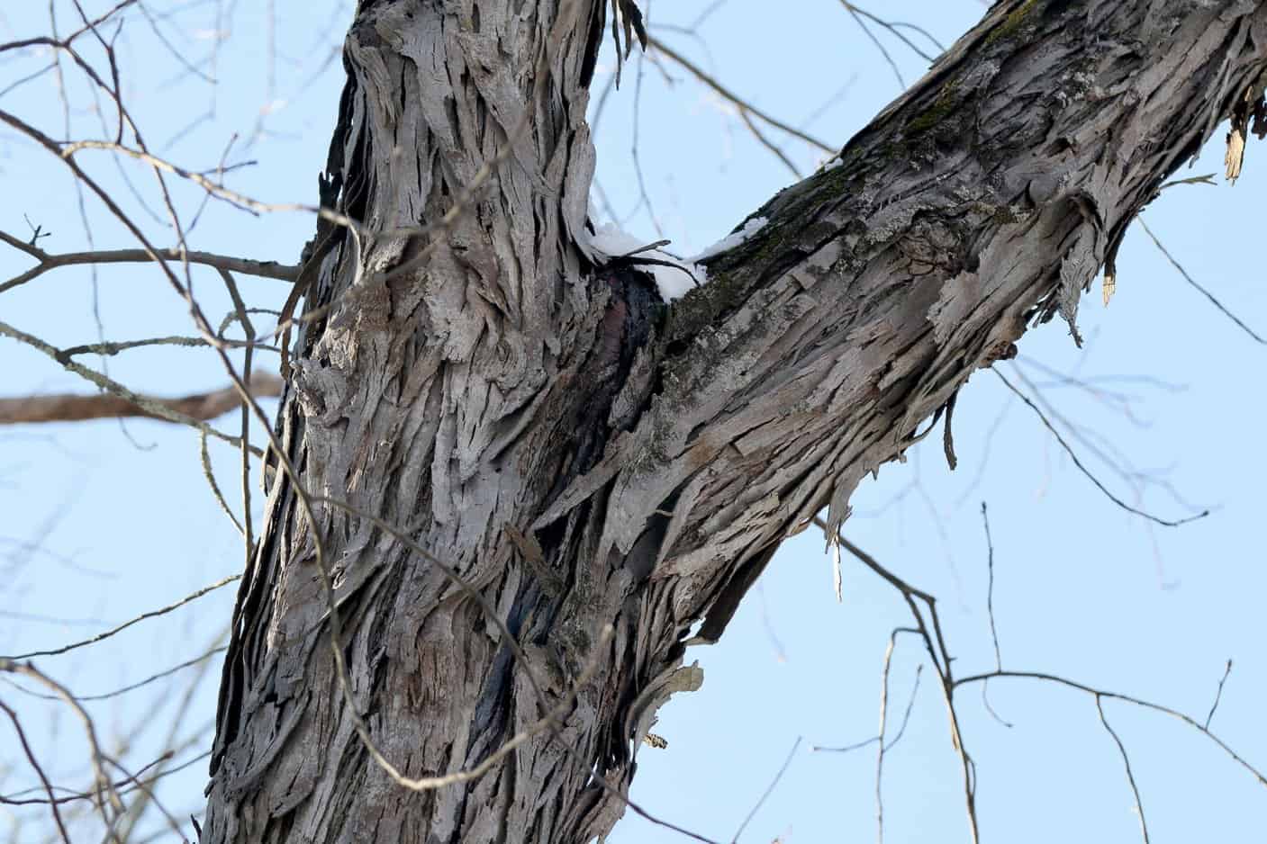 Bowman's Hill Wildflower Preserve